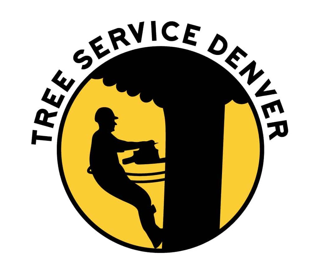 Contact Us | Tree Service Denver LLC